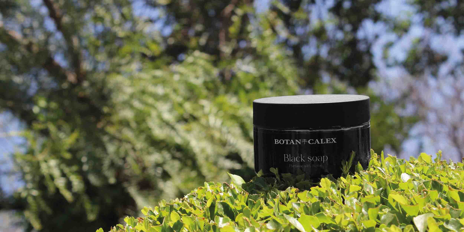 Natural Ingredients With Best Manufacturing Processes